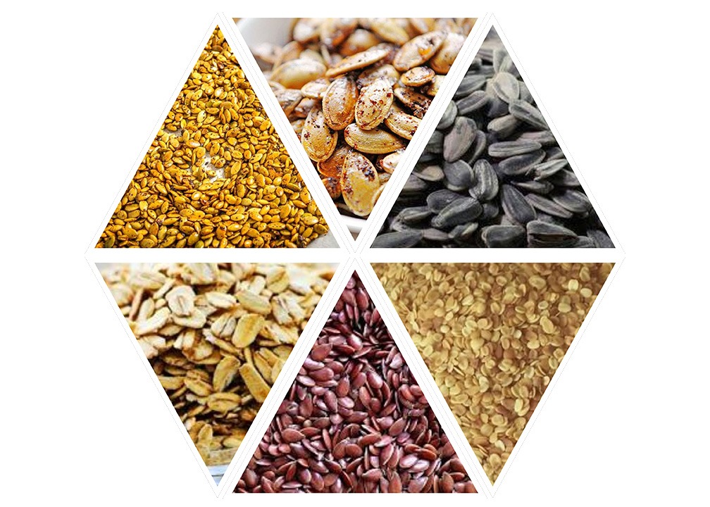 Seed Roaster Machine – Manjunath Roasters